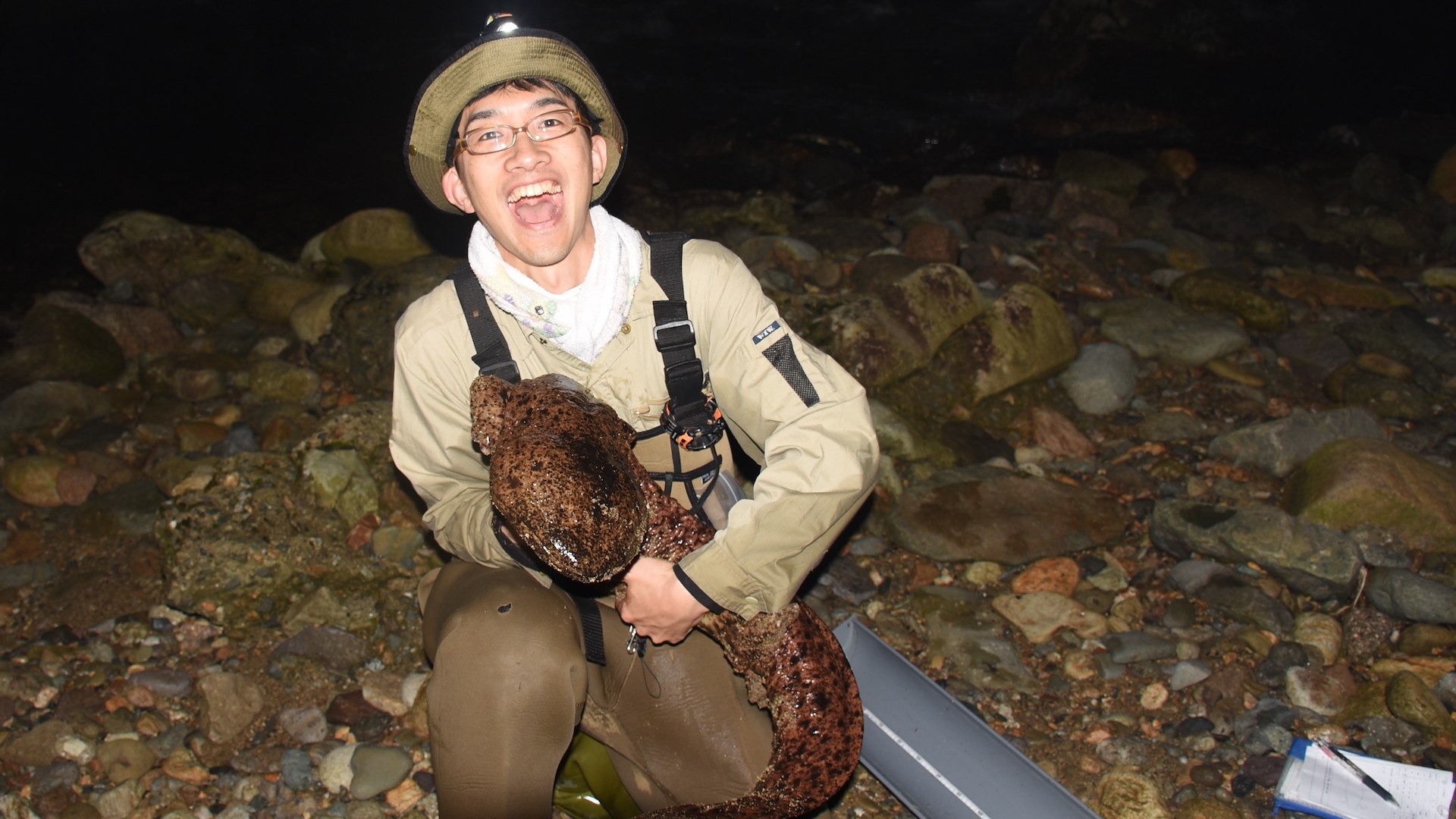 Saving the Japanese giant salamander from concrete - LifeGate