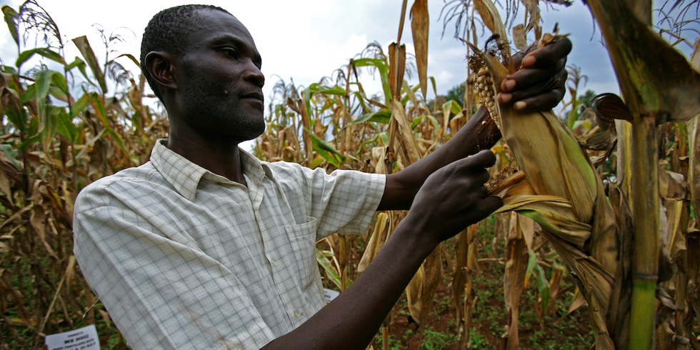 The drought in Zambia is causing starvation, a power crisis and ...
