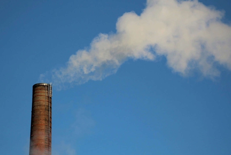 Un 2020 da record. Il grande aiuto di Sea Shepherd - LifeGate