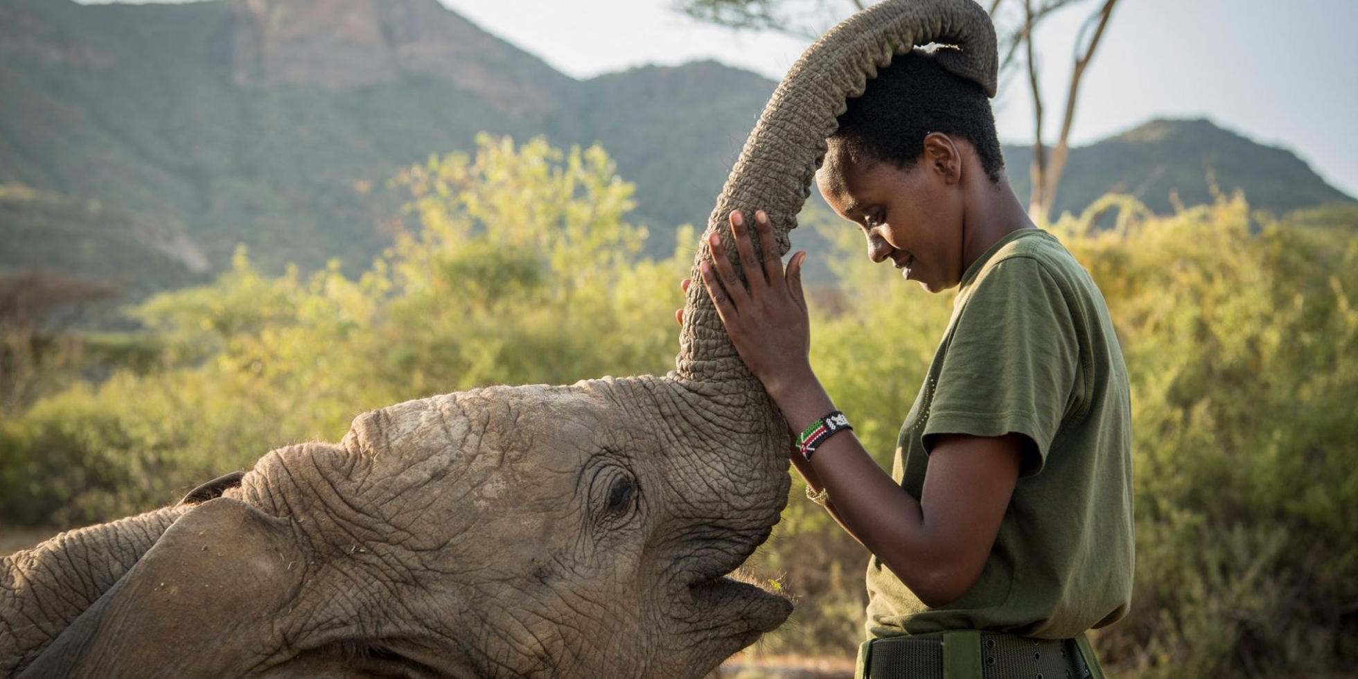 Reteti, the story of the first indigenous owned and run elephant ...