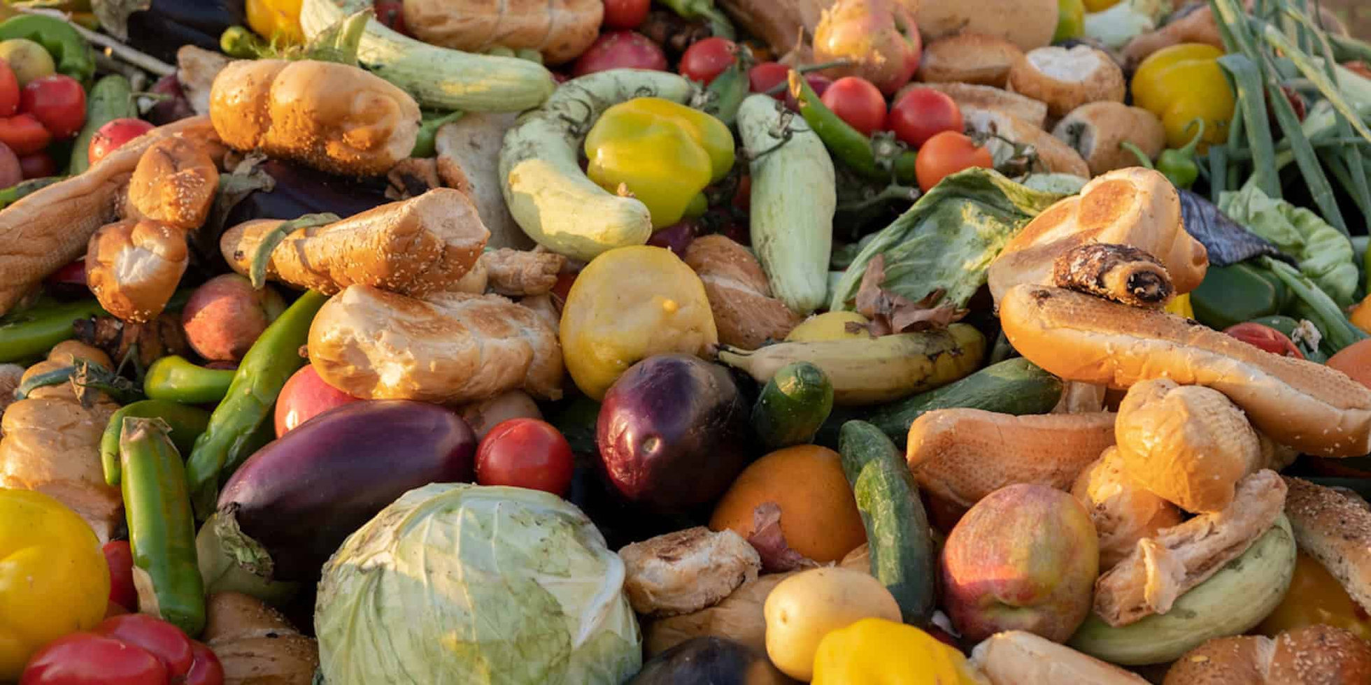 Dal volontariato alle app: come combattere lo spreco alimentare