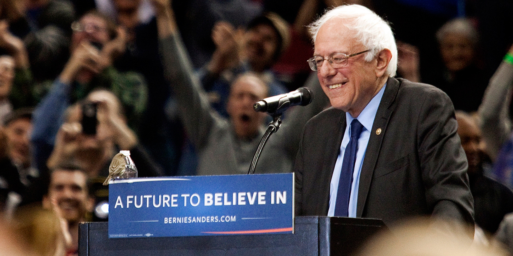 #BirdieSanders, come un uccellino sta trainando l'avanzata di Bernie ...