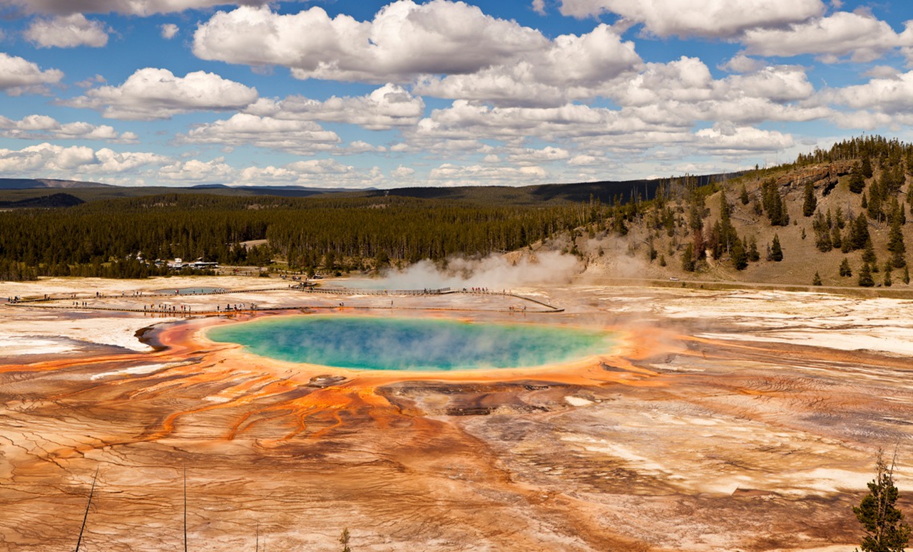 Yellowstone endangered by reckless human behaviour - LifeGate