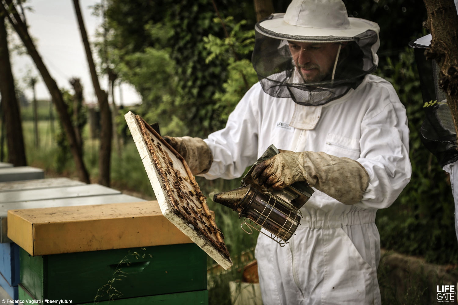 Marco Zucchetti, Bee my Future's first beekeeper: an update - LifeGate