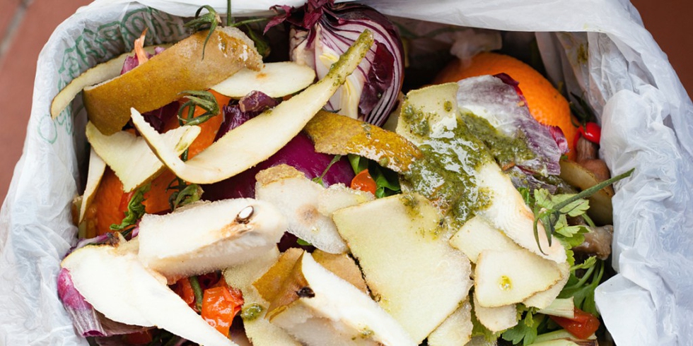 At Stanford University leftovers become animal feed - LifeGate