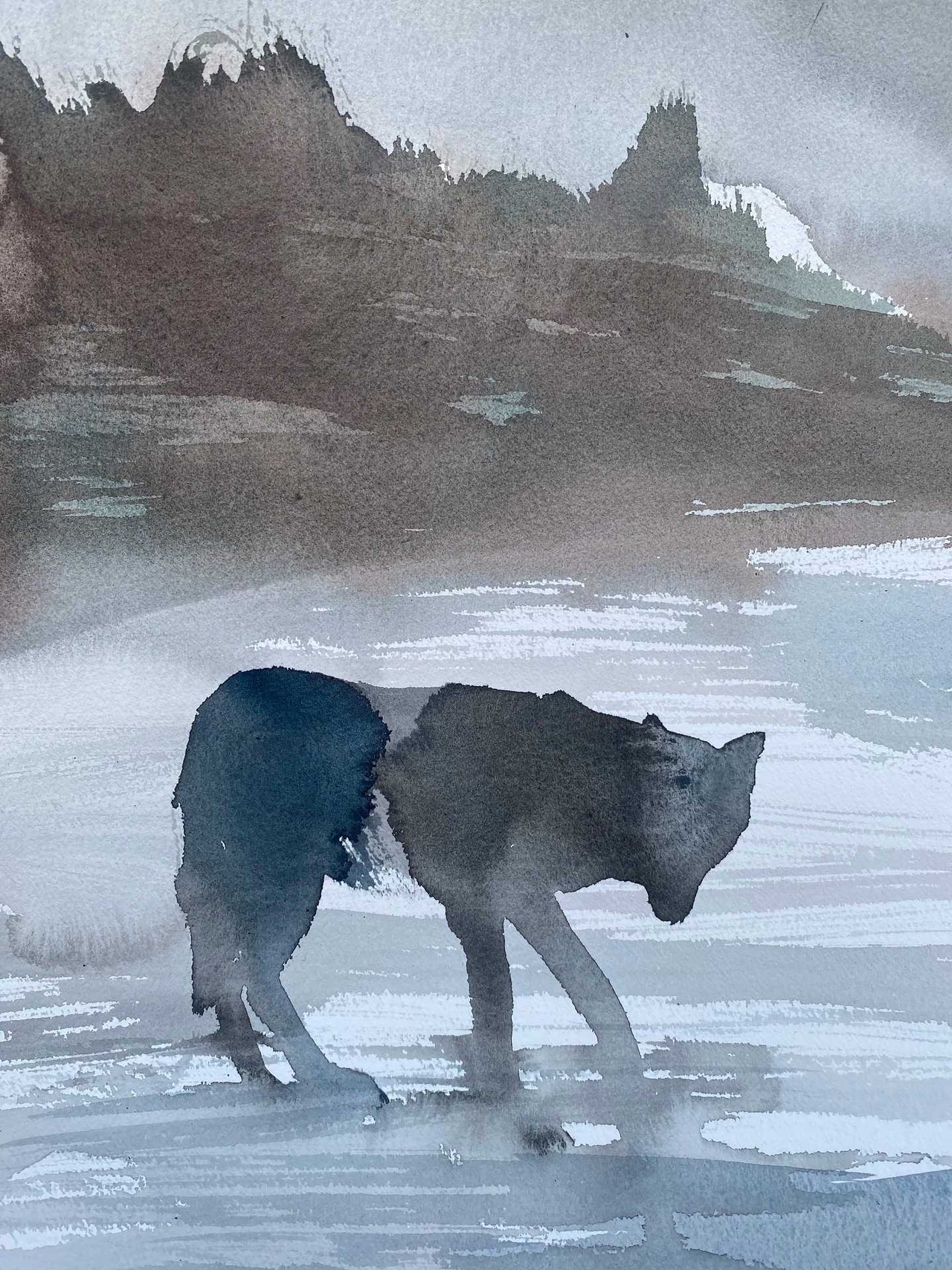 Nicola Magrin, il pittore che racconta la natura con gli acquerelli - LifeGate