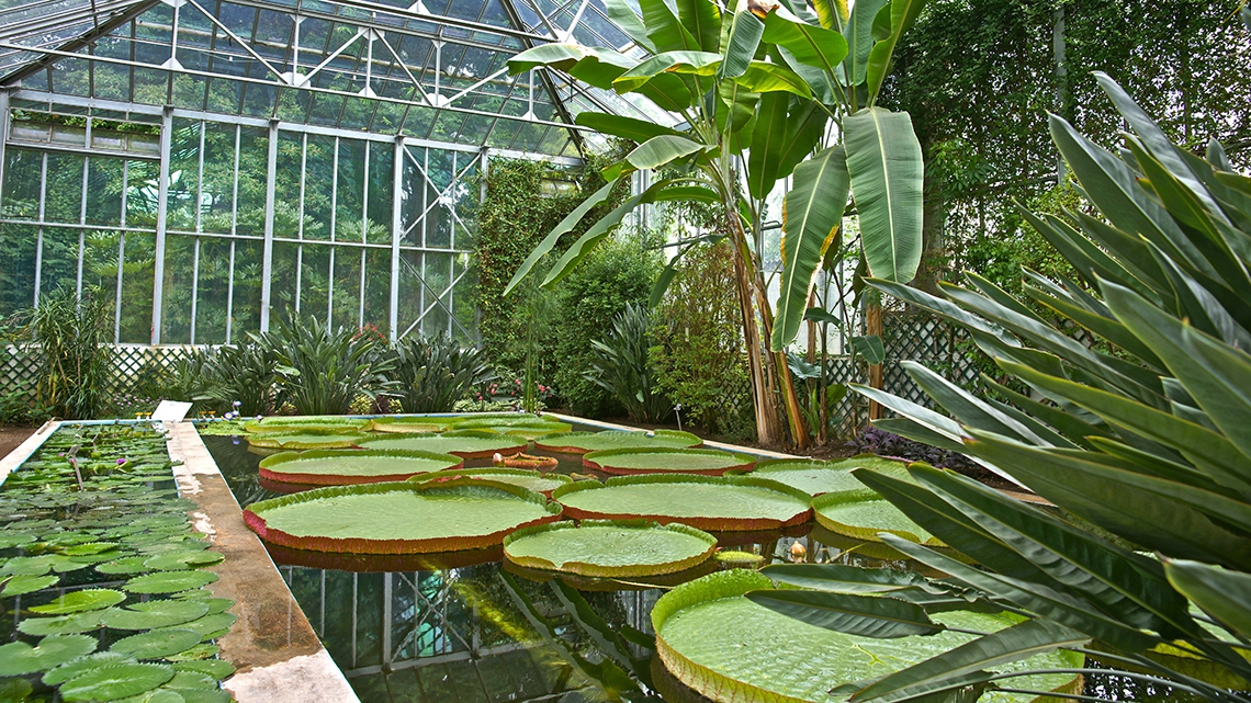 I giardini botanici di Villa Taranto, un viaggio nei 5 continenti ... I giardini botanici di Villa Taranto, un viaggio nei 5 continenti ...