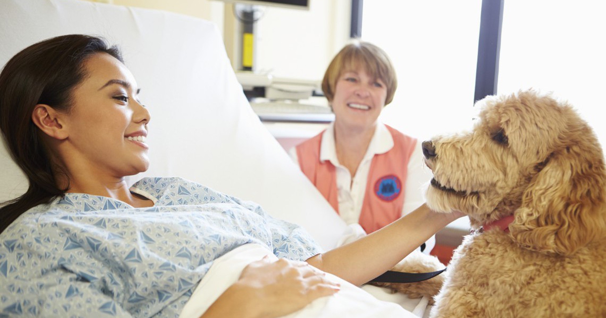 Come si diventa operatori di pet therapy, una guida ai corsi - LifeGate