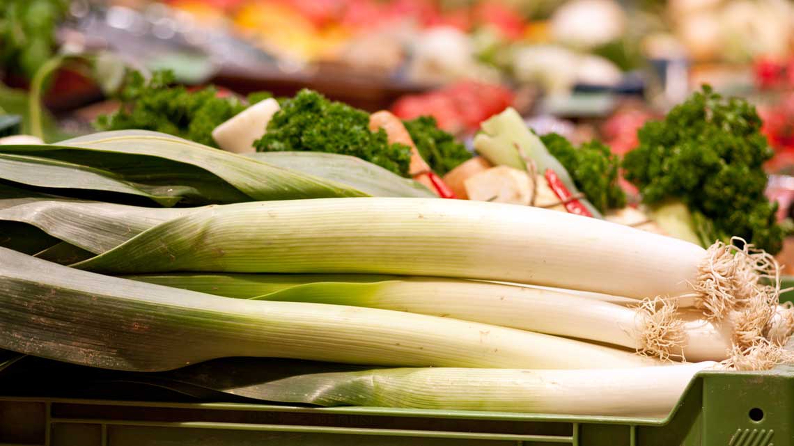 Porro o allium porrum: proprietà e ricette