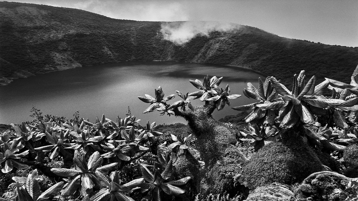 Gli scatti di Sebastião Salgado dell'Africa e della sua dolente ...