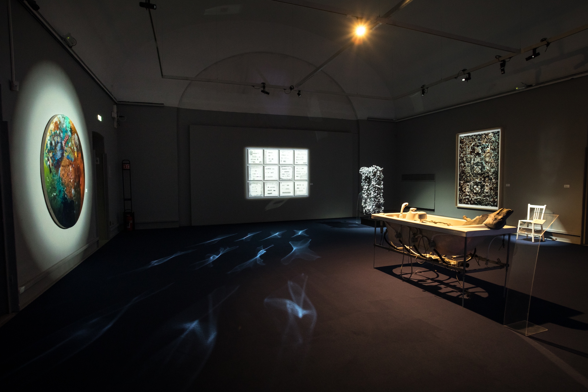 Giulia Cenci vince il Premio Cairo 2022 con il lupo nella vasca - LifeGate