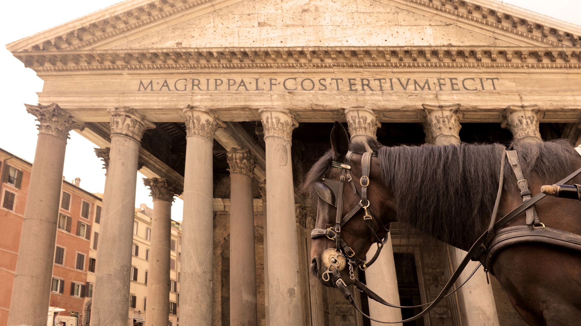 Le botticelle non circoleranno più nel centro di Roma