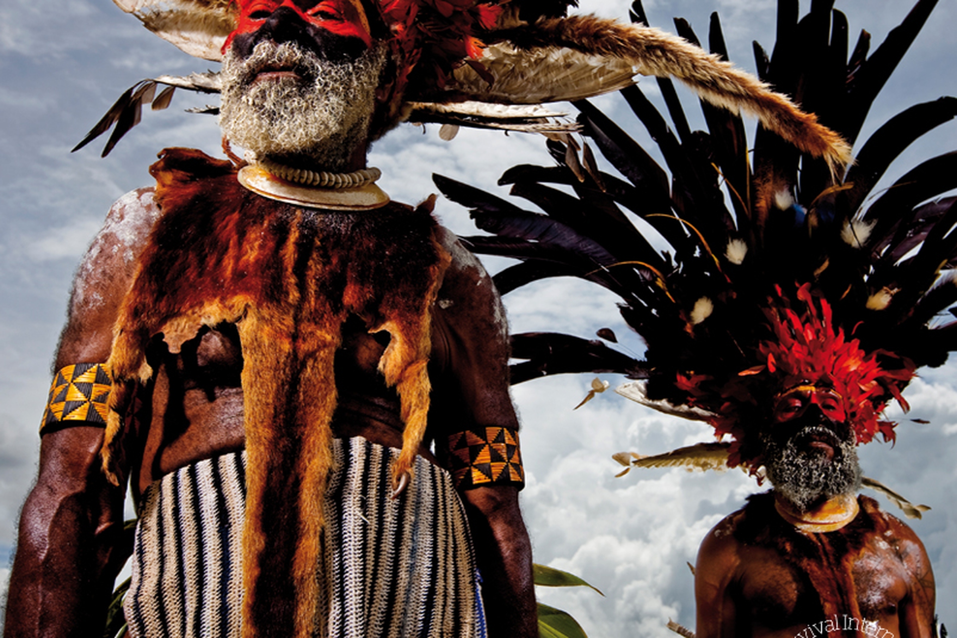 Survival's 2019 calendar celebrates 50 years of protecting indigenous ...