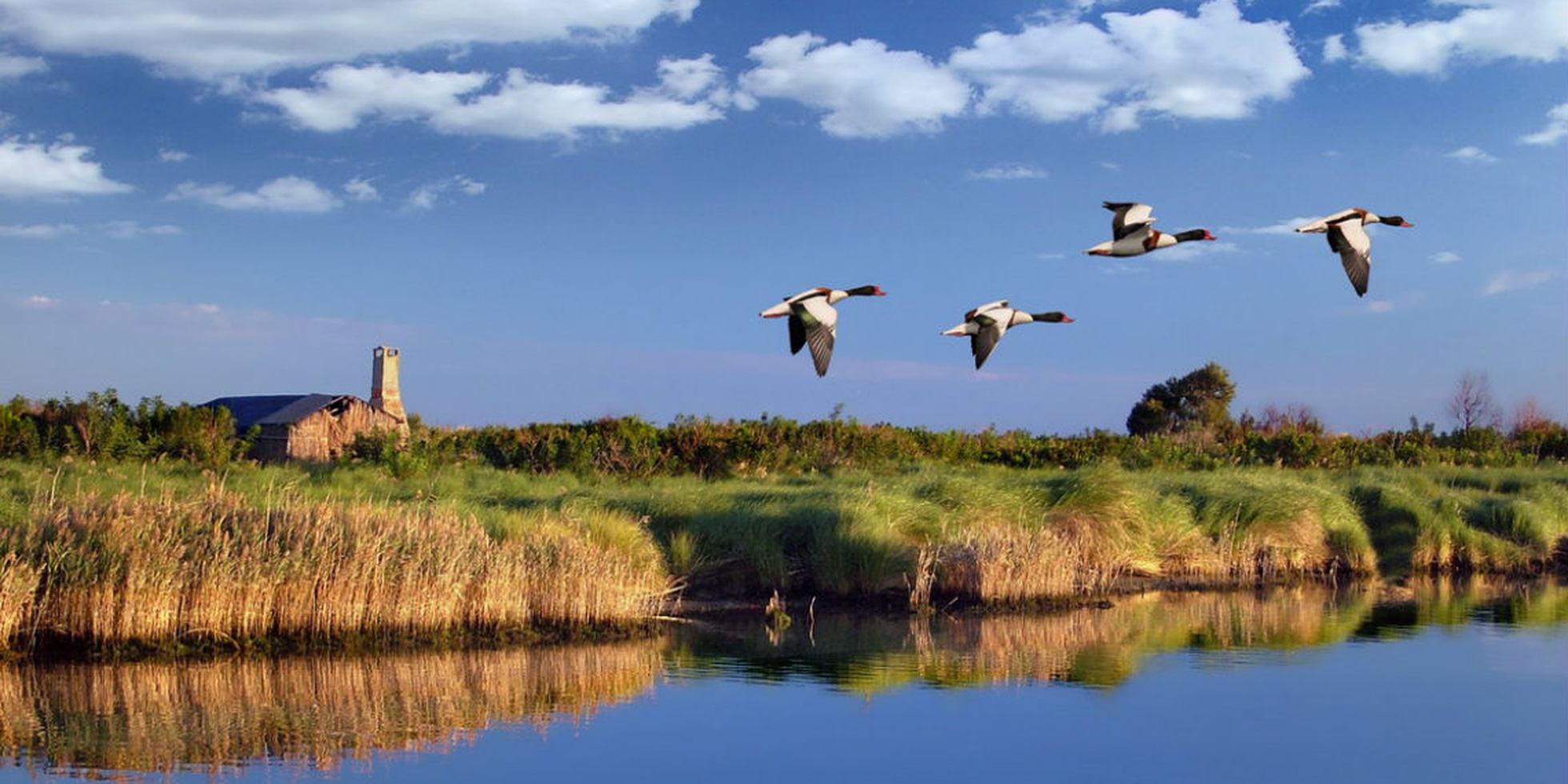 Perché il delta del Po deve diventare parco nazionale - LifeGate