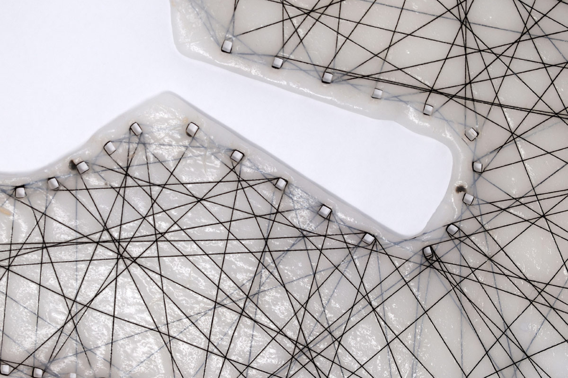 The future belongs to biomaterials. How designers are taking up the ...