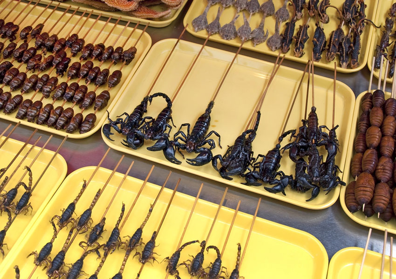 Quali sono gli insetti commestibili e chi li mangia - LifeGate