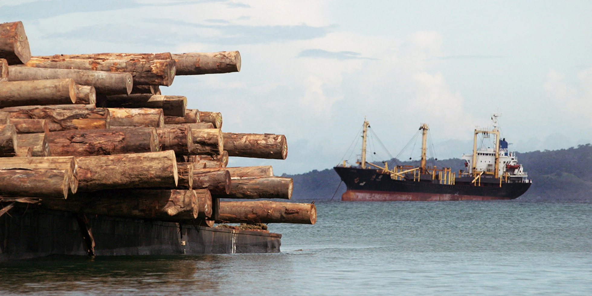 The great timber heist, illegal logging and tax evasion in Papua New ...