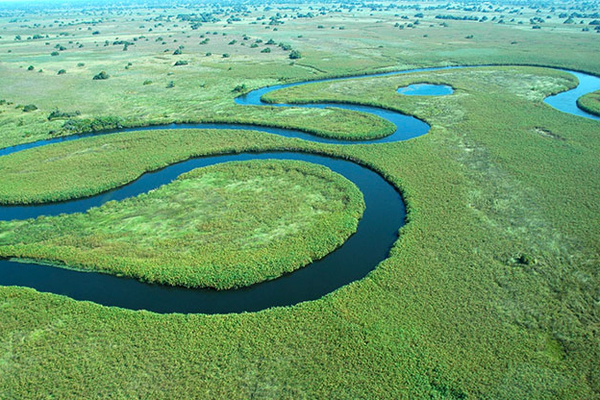 È il Delta dell’Okavango la millesima meraviglia del mondo - LifeGate