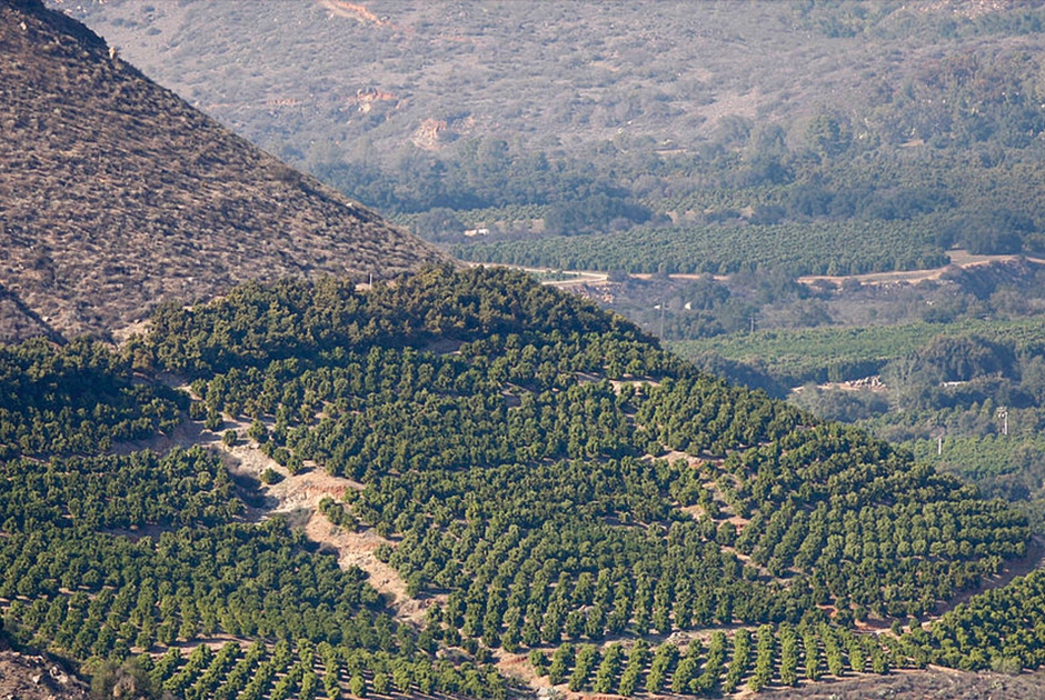The rapist is you, the Chilean protest song against gender violence ...