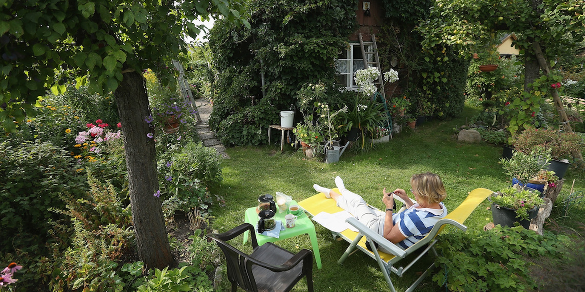A wall made of plants, green architecture to re-imagine cities - LifeGate