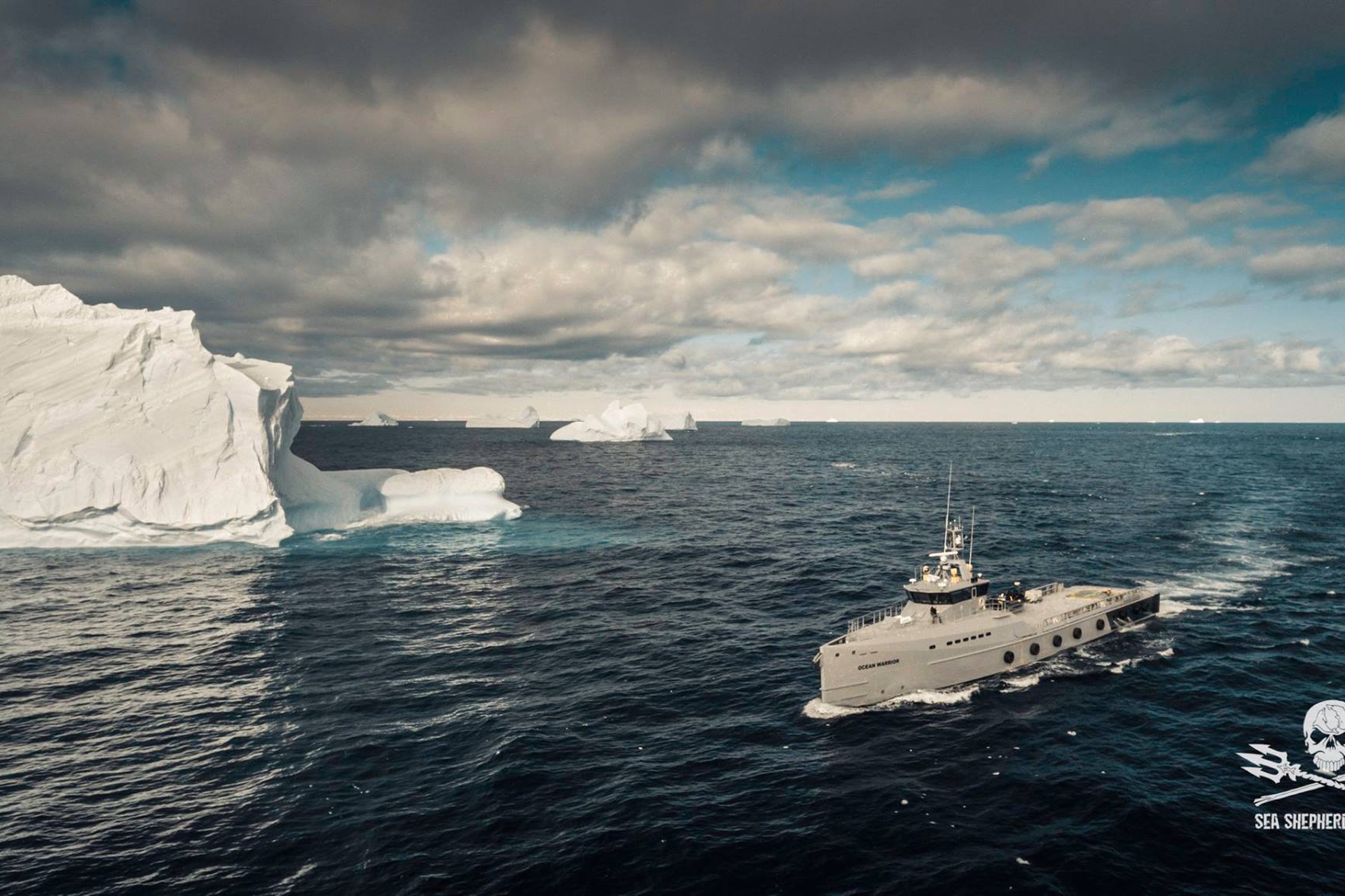 The story of Sea Shepherd, in Captain Alex Cornelissen's words - LifeGate