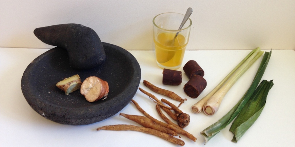 What is jamu, the traditional Indonesian herbal medicine used for fuel