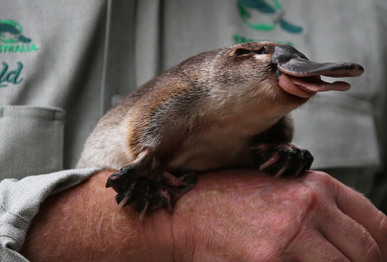 African water man Patrick Kilonzo Mwalua on his new project to protect ...