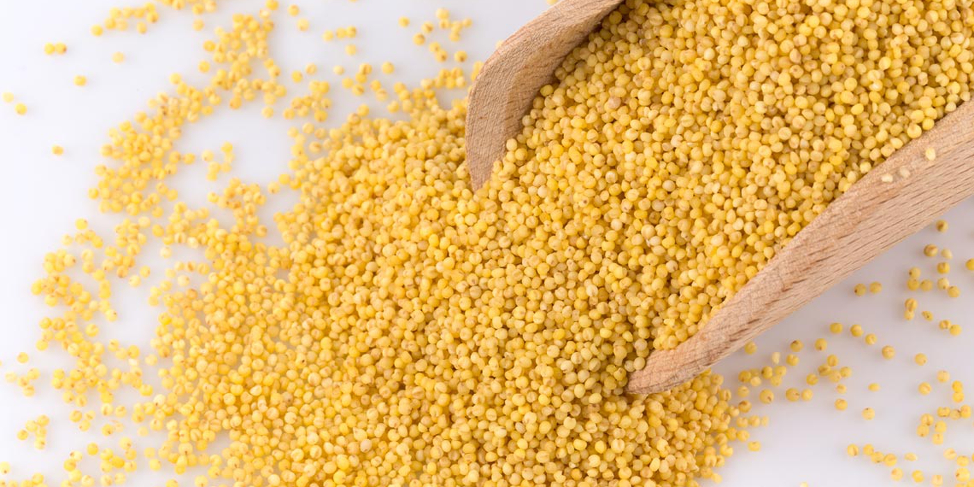 Miglio: come si cucina, ricette, coltivazione e proprietà - LifeGate