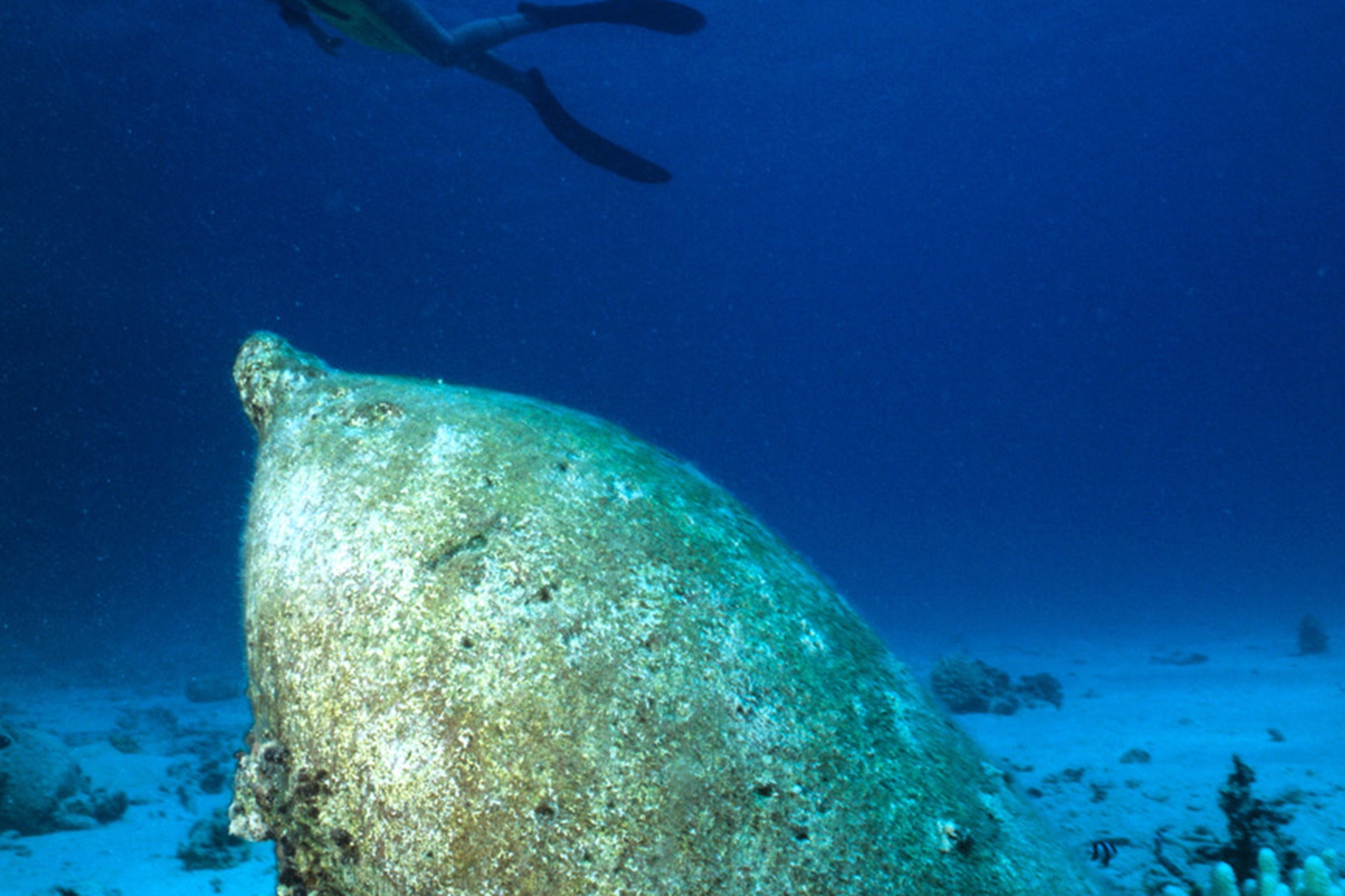 Alla scoperta di Zabargad, un paradiso nel mar Rosso