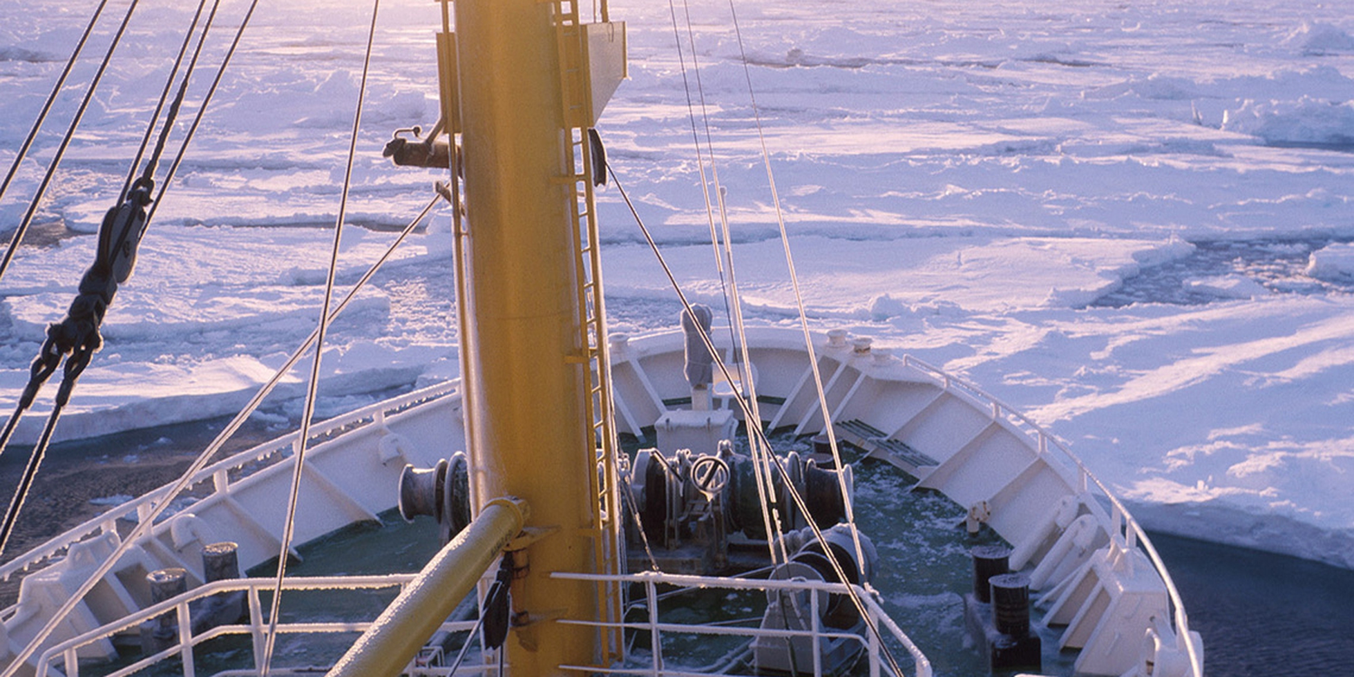 Restate comodi e venite con noi nella gelide acque dell'Antartide