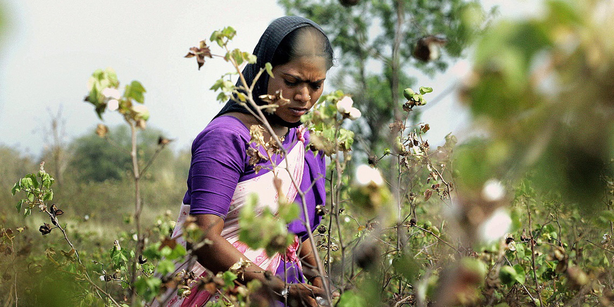 In India Primark sostiene le donne e il cotone bio - LifeGate