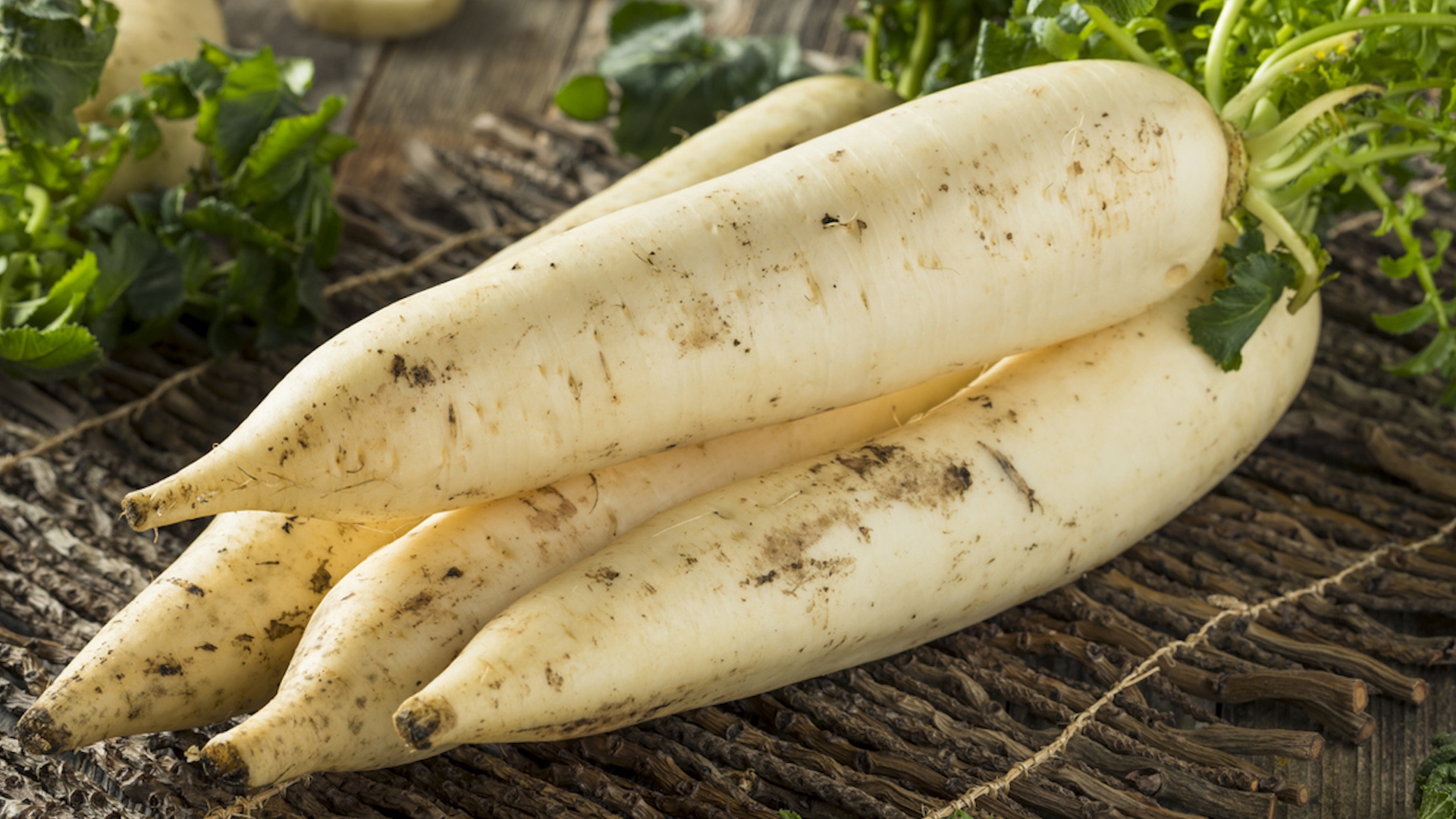 Daikon, proprietà e usi della radice bianca