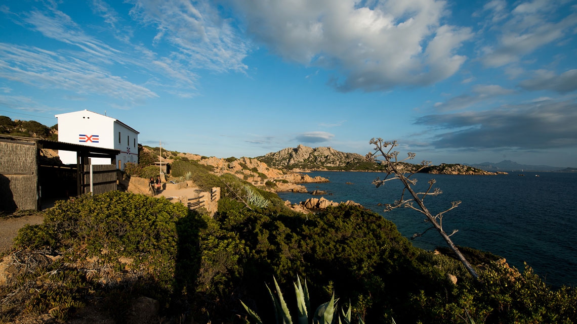 Alla scoperta di balene e delfini a Caprera, con un corso ambientale in ...