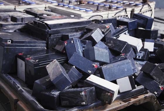 E120. Cos’è e dove si trova oggi il colorante fatto con insetti, la ...