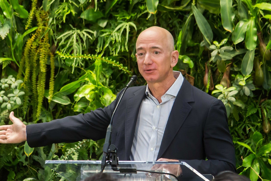 Cosa sono i carbon credit - LifeGate