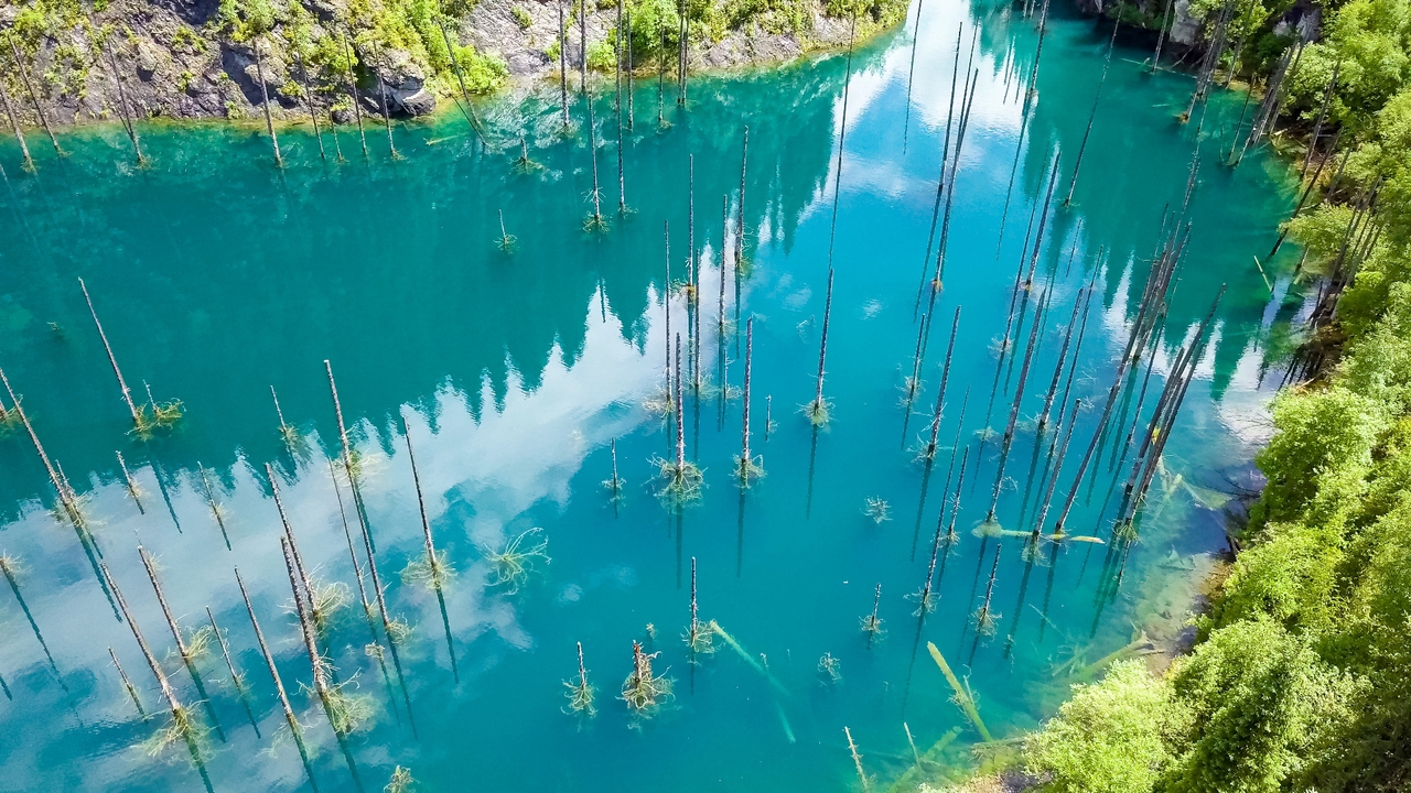 6 paradisi terrestri da salvare nella docuserie Saving paradises - LifeGate