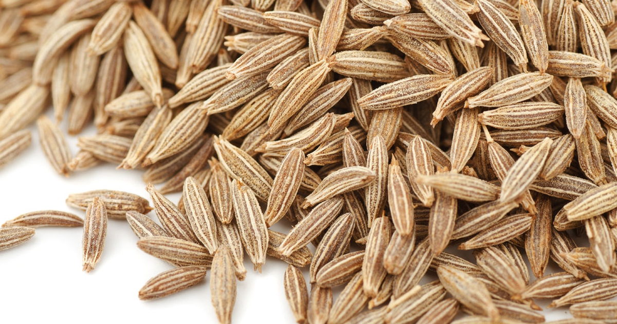 Cumino, proprietà e benefici - LifeGate