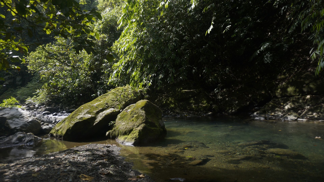 Costa Rica, il diritto a resistere degli indigeni Nairi Awari - LifeGate