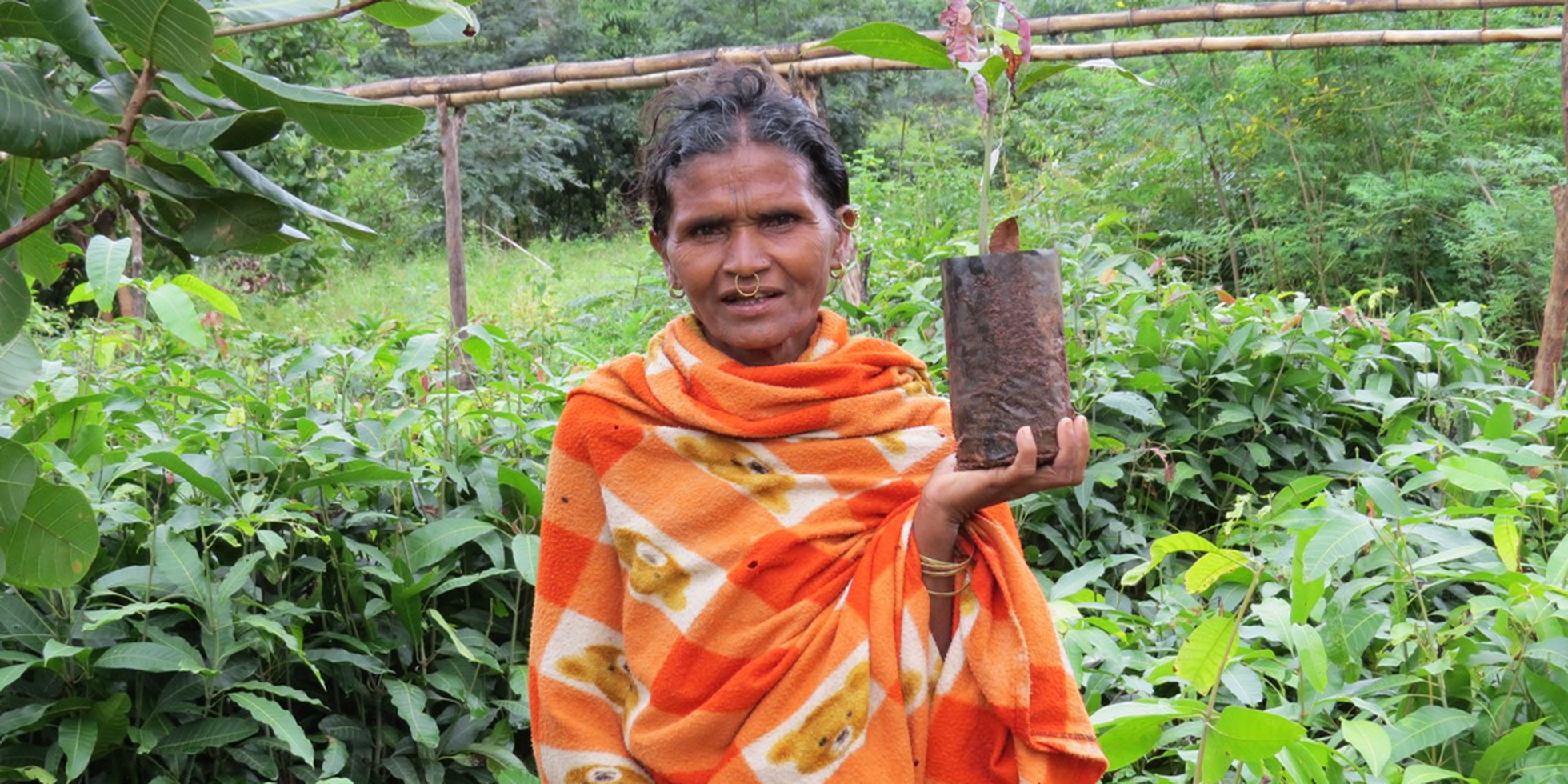 India, how indigenous farmers are developing climate resilient ...