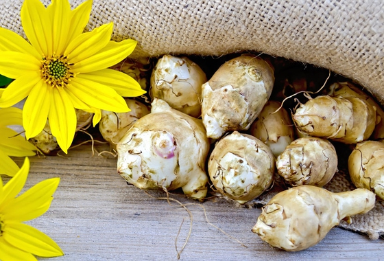 Topinambur: cosa sono, benefici, gusto e come si usano in cucina - LifeGate