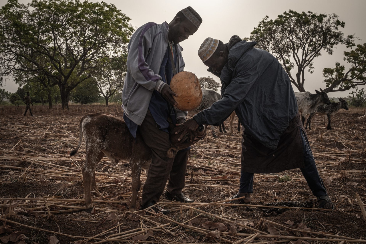 Religione, clima, cibo: il Benin è il nuovo fronte jihadista in Africa ...