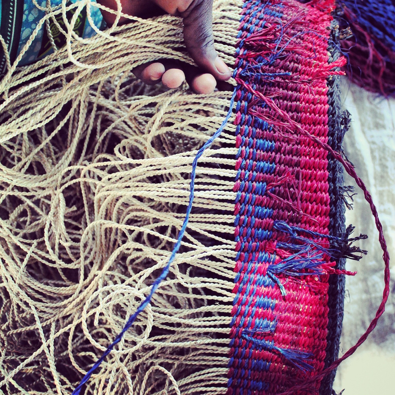 AAKS behind the scenes real - LifeGate