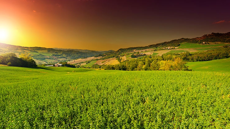 There’s who decided to give land for free to see it relive - LifeGate