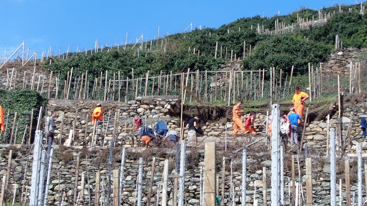 Sciur, come si beve in modo sostenibile - LifeGate