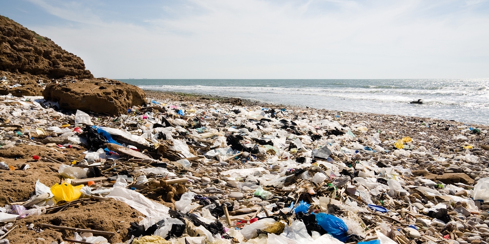 Record nel 2021: 139 milioni di tonnellate di rifiuti plastici monouso ...