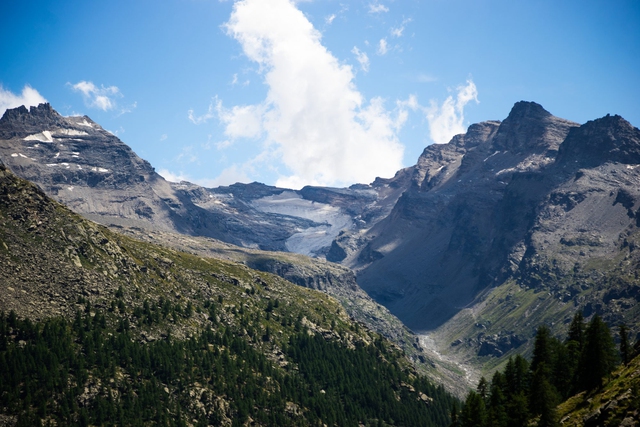 Gran Paradiso, cosa insegnano 100 anni di storia sul futuro della ...