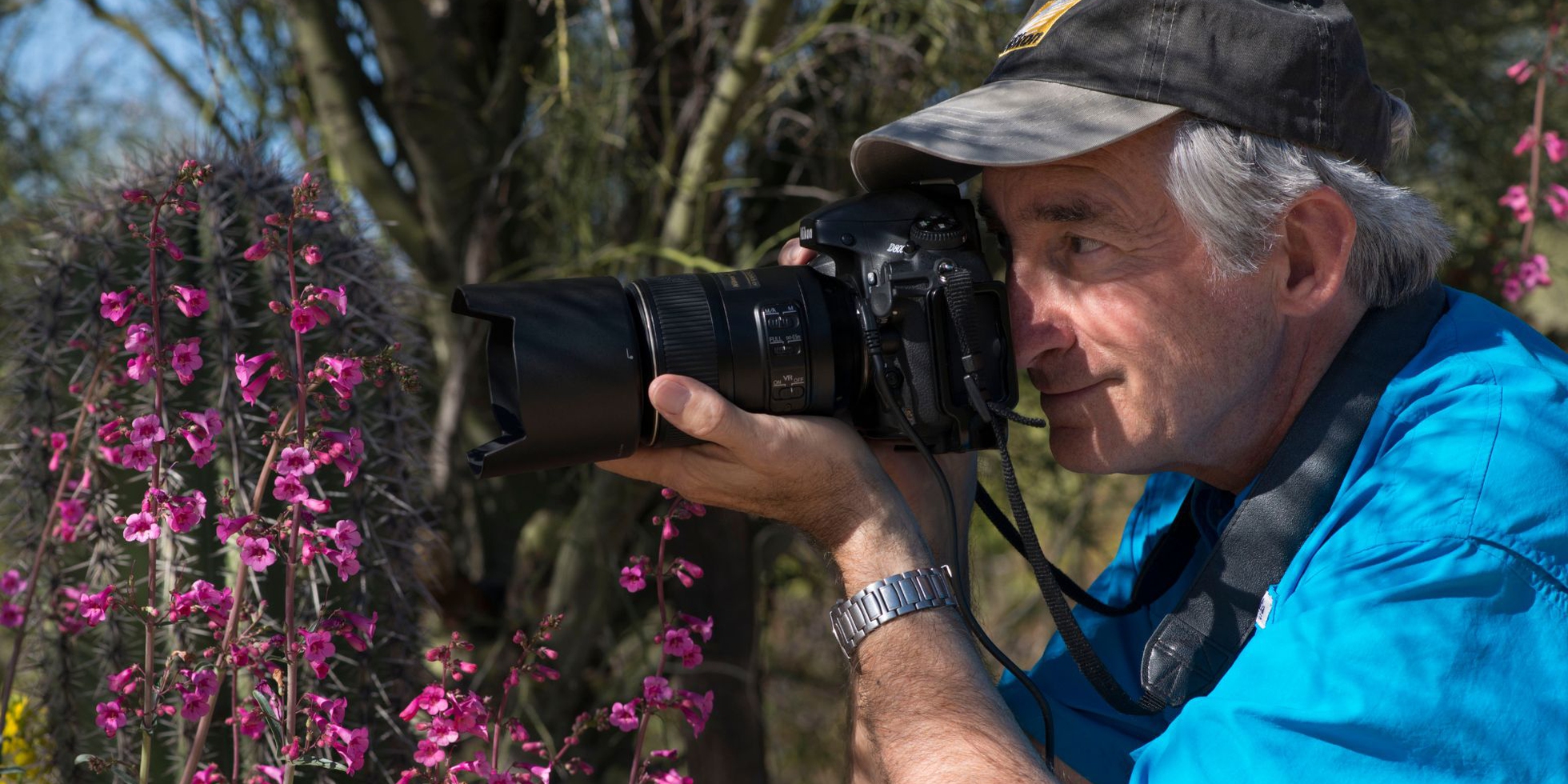 La personalità dell'ape: intervista a Stephen Buchmann - LifeGate