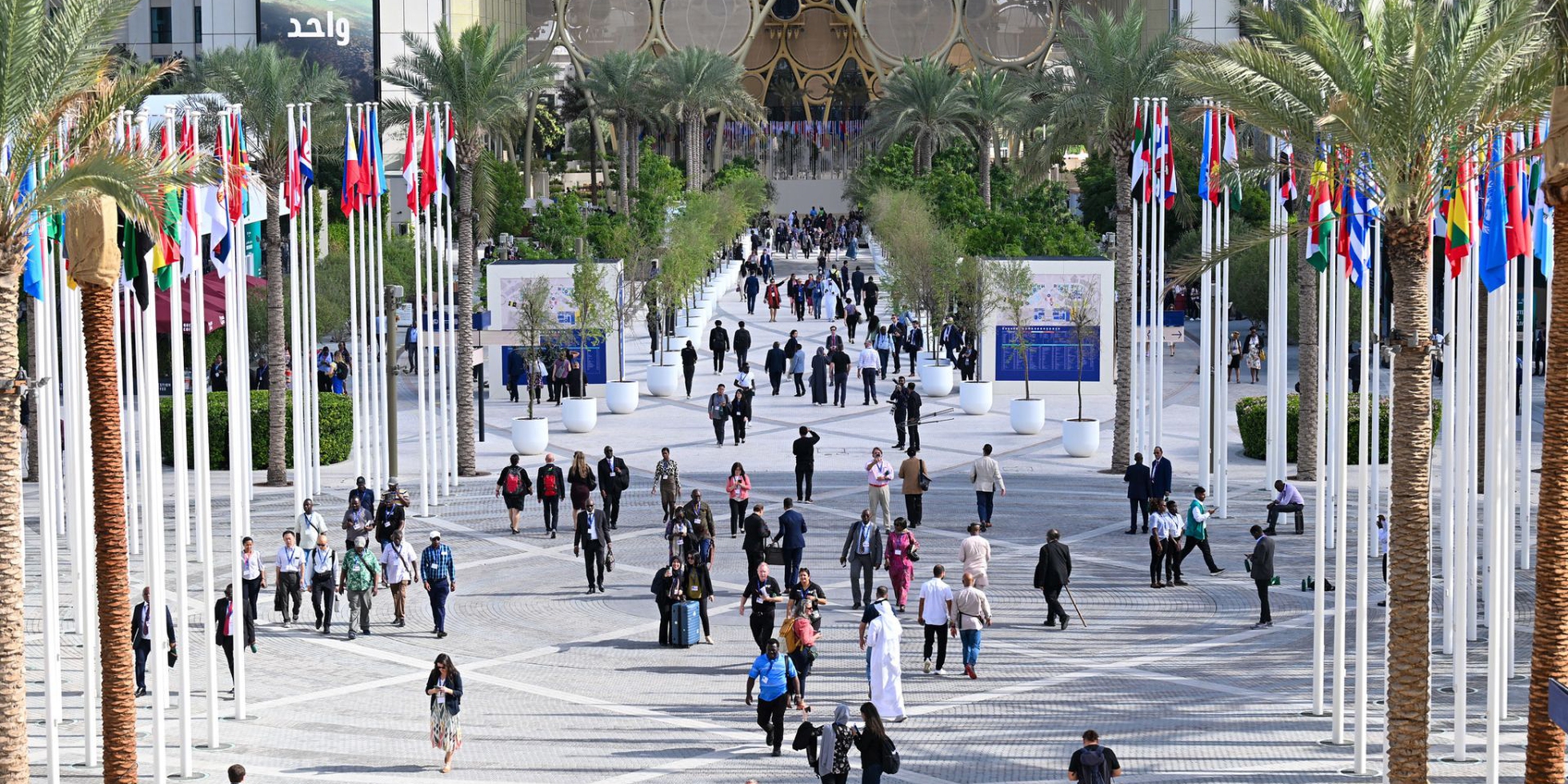 Cop28, è impensabile mettere d’accordo duecento Paesi da tutto il mondo ...