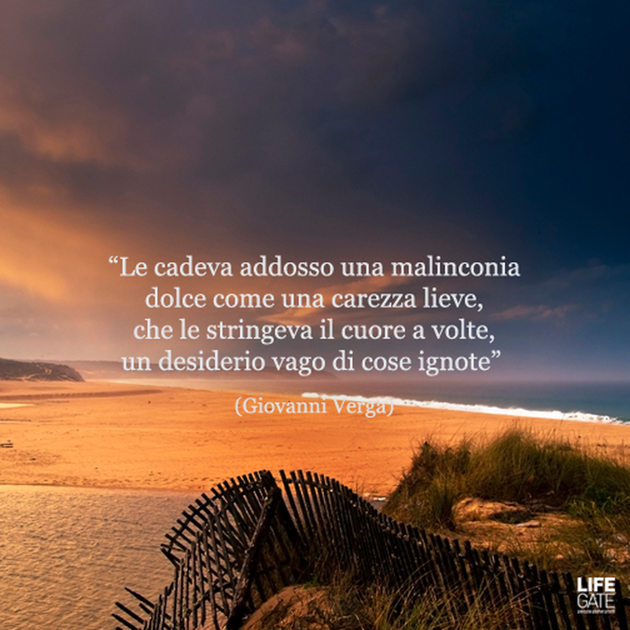 Le citazioni più belle per sempre #2 - LifeGate