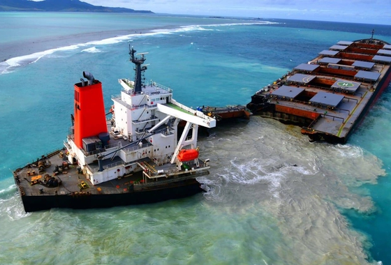 What is Grindadráp and why is whaling in the Faroe Islands so ...